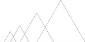 More About Anatomy.app | By Anatomy Next