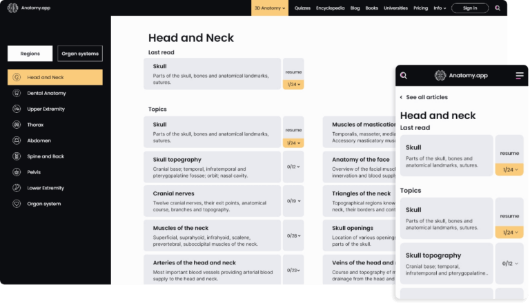 More About Anatomy.app | By Anatomy Next